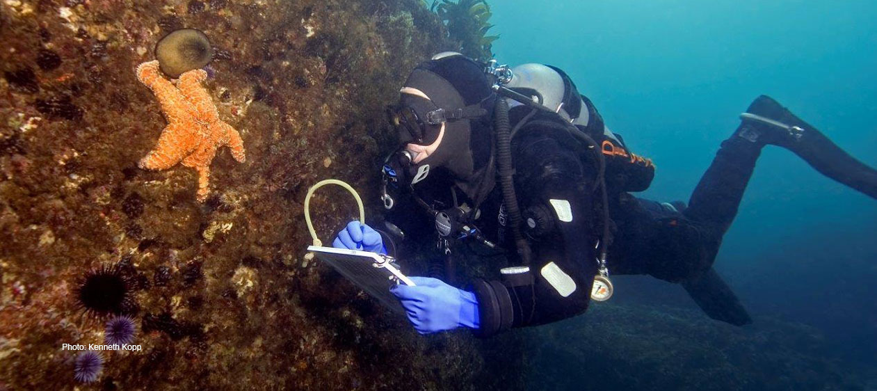Ocean Science Trust Announces South Coast Monitoring Surveys - MPA ...