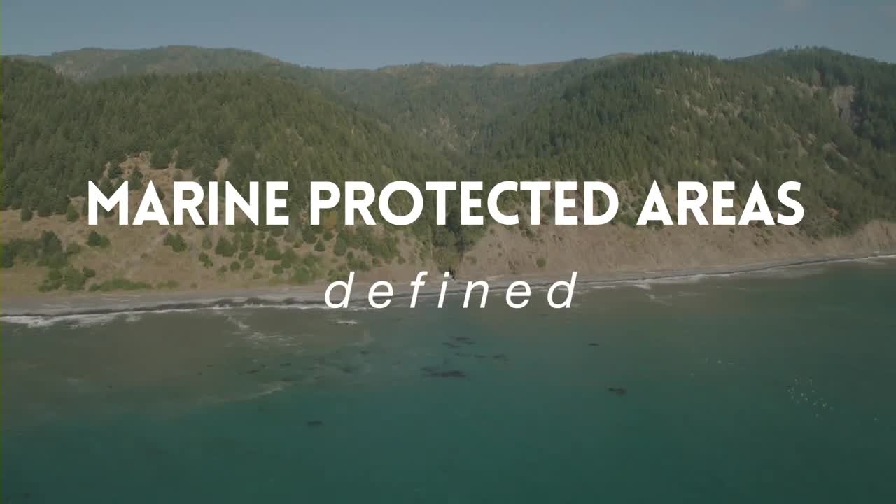 Del Norte - MPA Collaborative Network