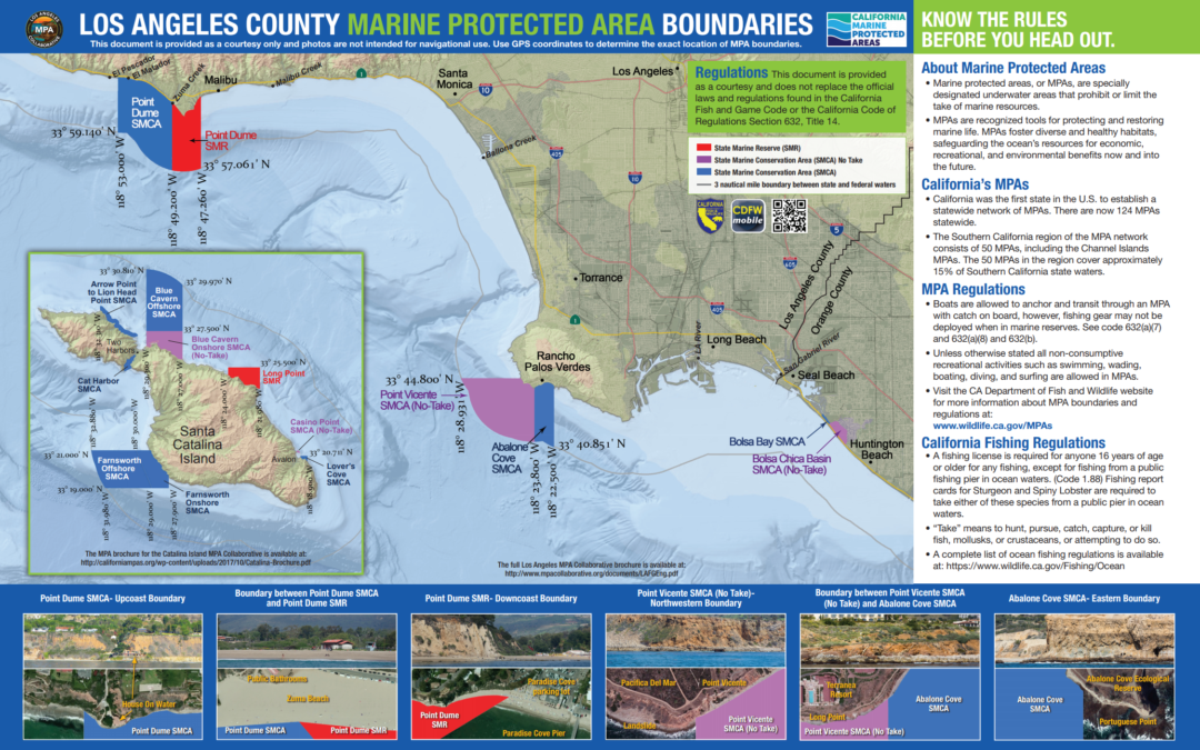 Posters - MPA Collaborative Network