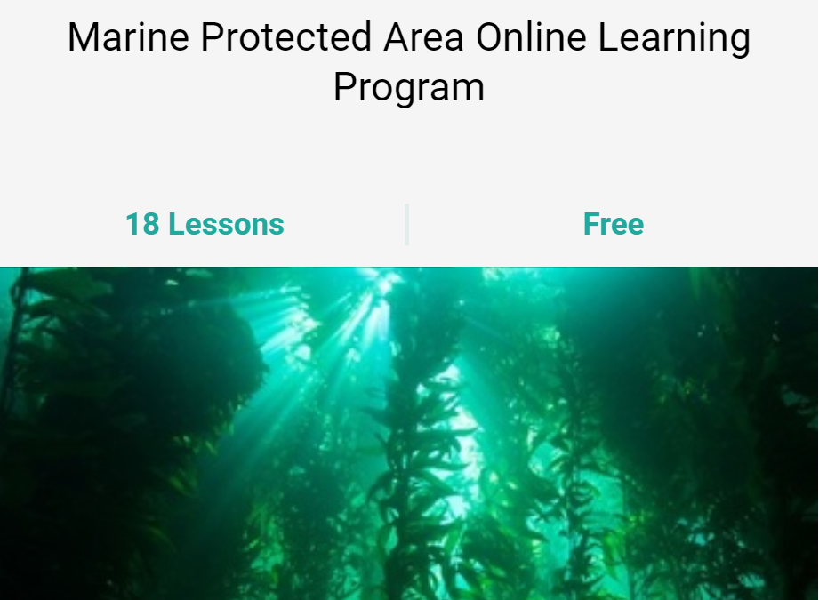 05Golden Gate | MPA Collaborative Network