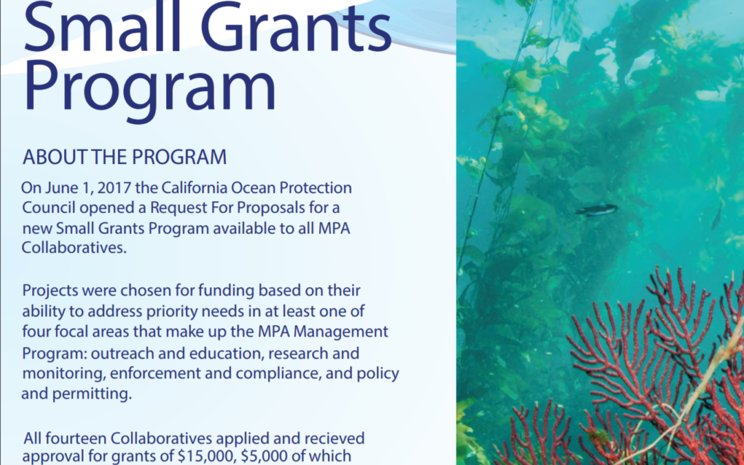 MPA Collaborative Network Documents | MPA Collaborative Network