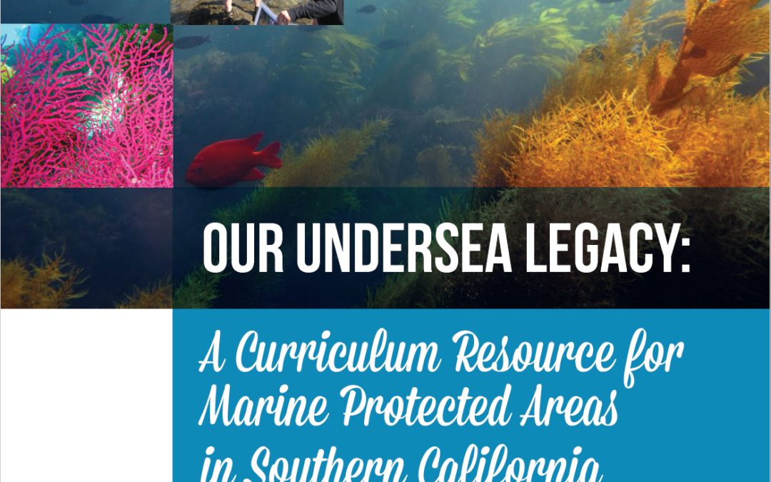 Grades 6-8 - MPA Collaborative Network