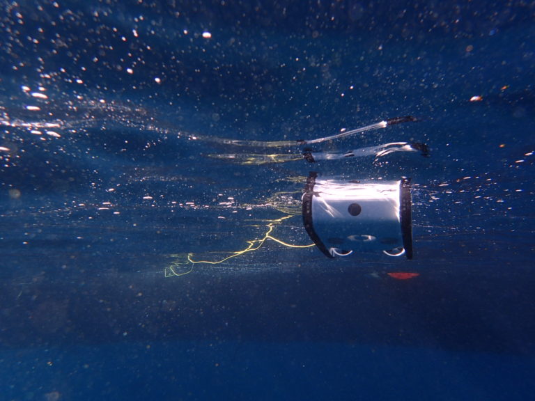 Mini-ROV Live Dive: Exploring Beneath Whalers Cove - MPA Collaborative Network