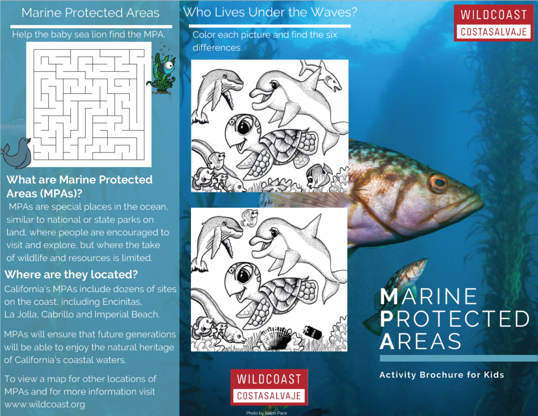 MPA Activity Brochure for Kids - MPA Collaborative Network