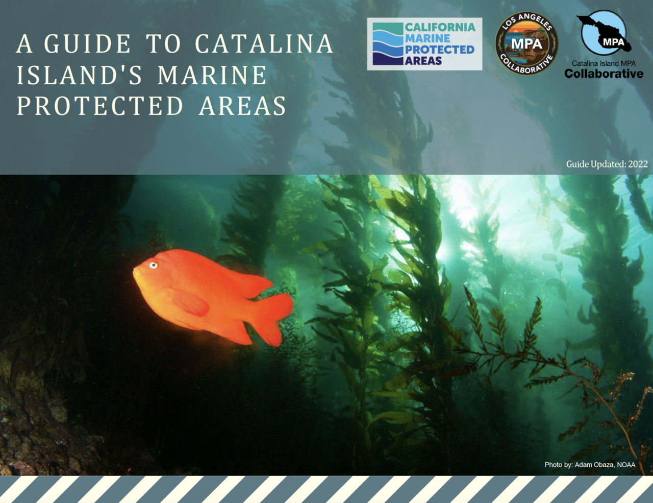 A Guide to Catalina Island's MPAs - MPA Collaborative Network