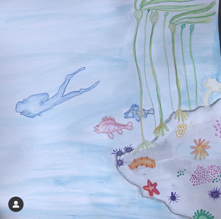 MPA Art Challenge - MPA Collaborative Network