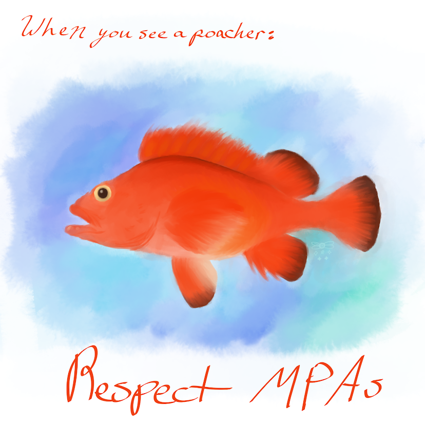 MPA Art Challenge - MPA Collaborative Network