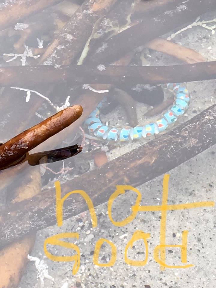 MPA Art Challenge - MPA Collaborative Network