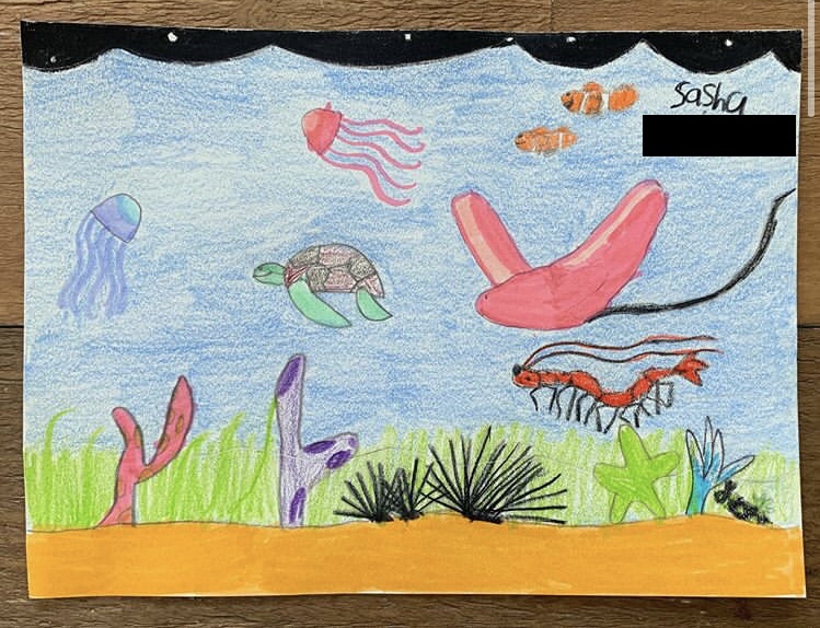 MPA Art Challenge - MPA Collaborative Network