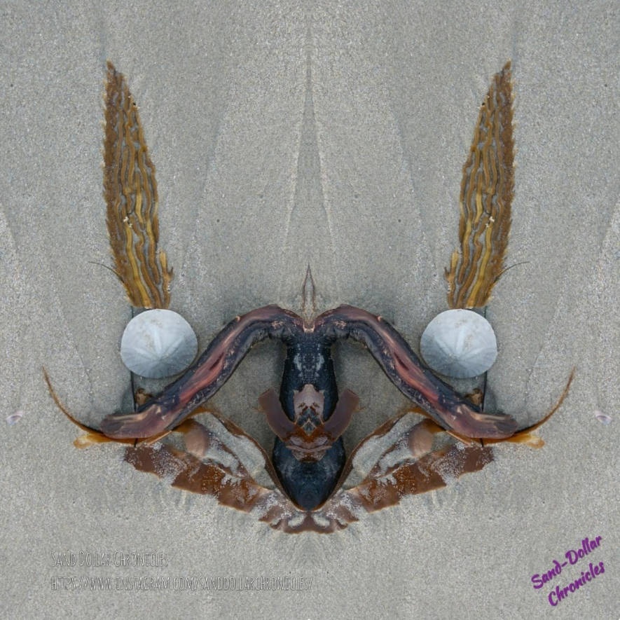 MPA Art Challenge - MPA Collaborative Network