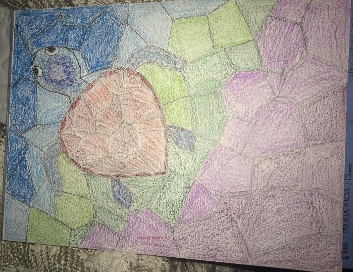 MPA Art Challenge - MPA Collaborative Network