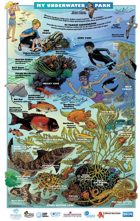 MPA Underwater Parks Posters - MPA Collaborative Network