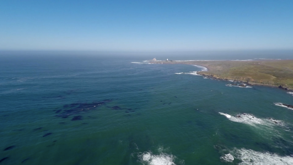 The Marine Protected Areas of San Luis Obispo County – Piedras Blancas and Cambria - MPA ...