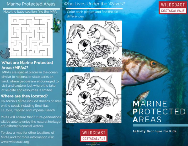 Reading - MPA Collaborative Network