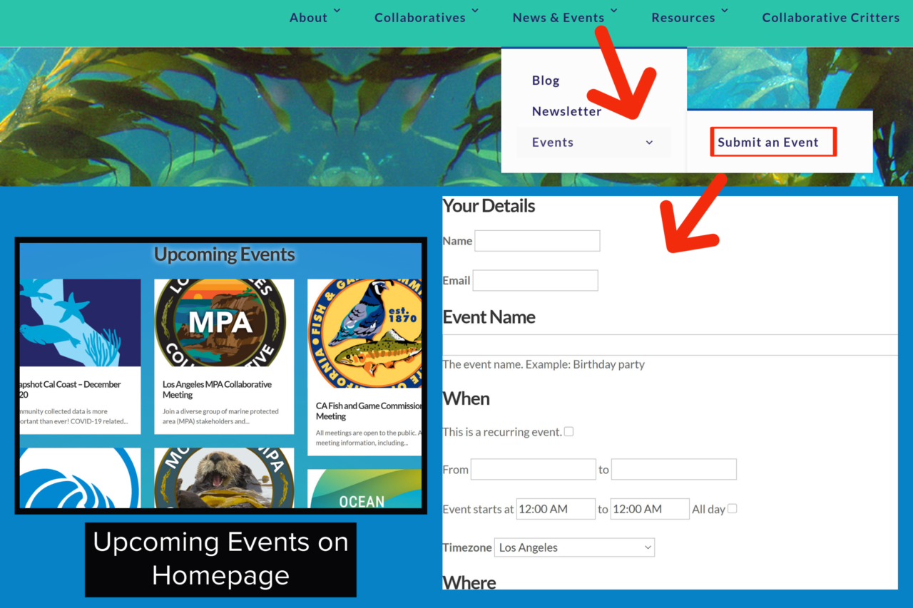 Collaborative Network launches new website features to enhance communication and collaboration ...