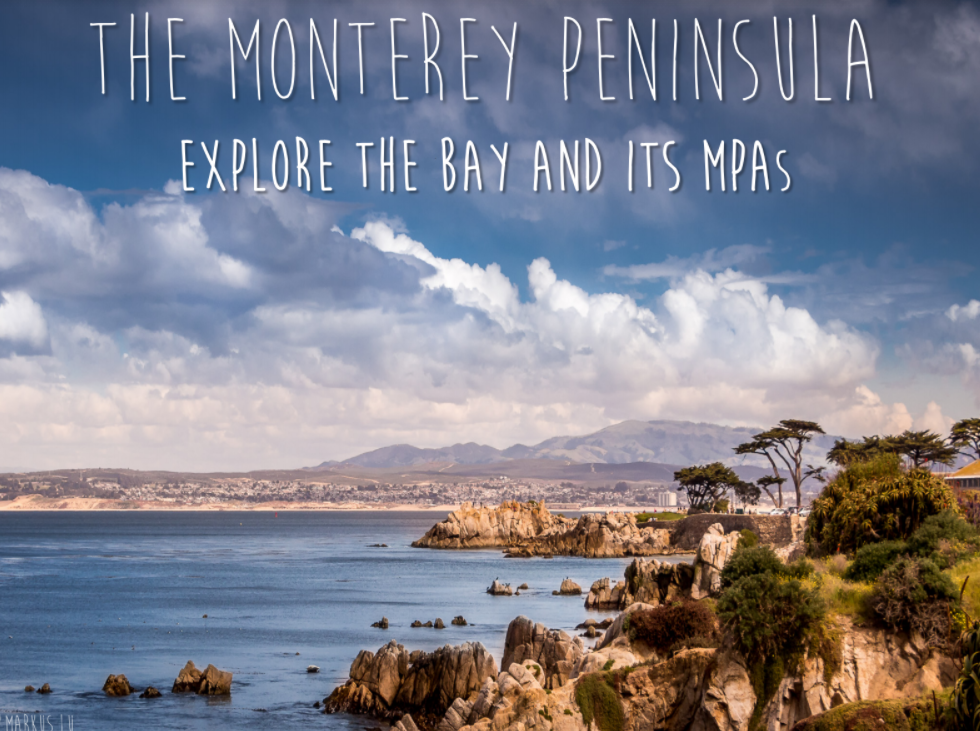 Monterey Peninsula Ocean Recreation Guide - MPA Collaborative Network