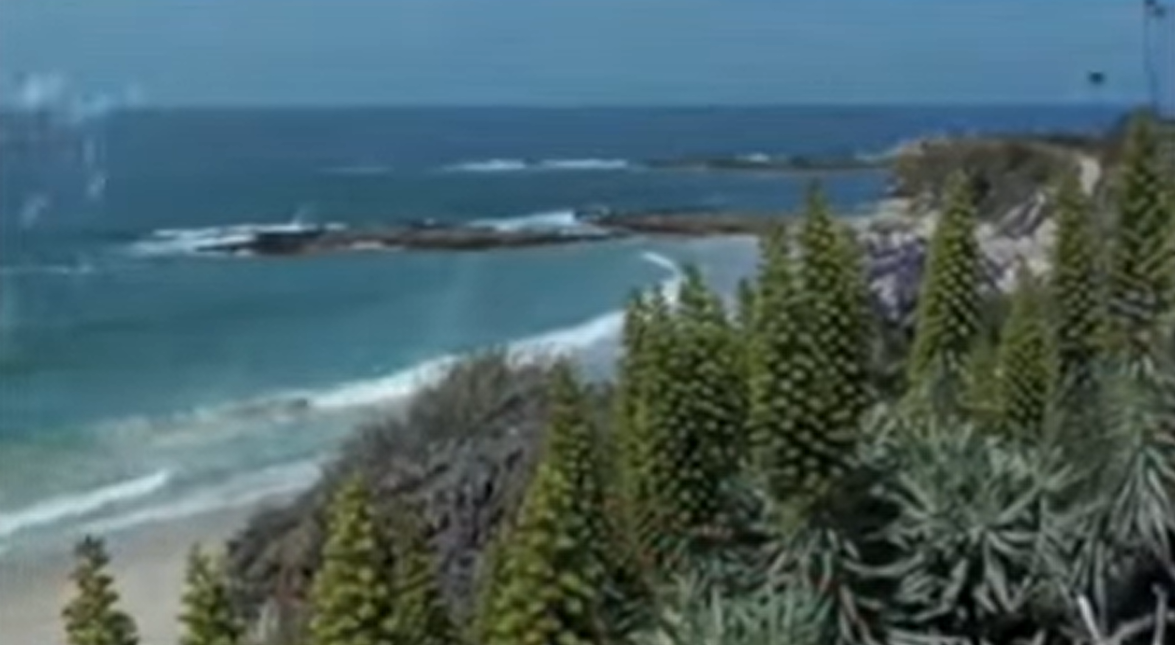 Resource Scarcity | MPA Collaborative Network