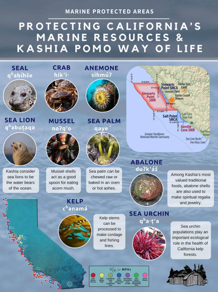 Protecting California’s Marine Resources & Kashia Pomo Way of Life ...