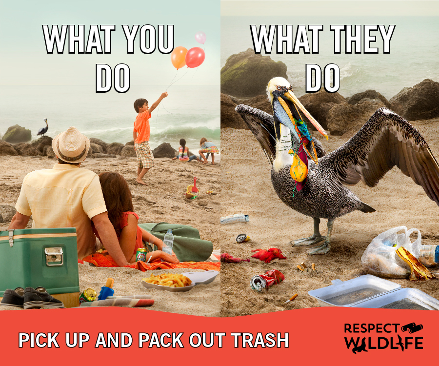 Going to the Coast? Bring Some Respect! - MPA Collaborative Network