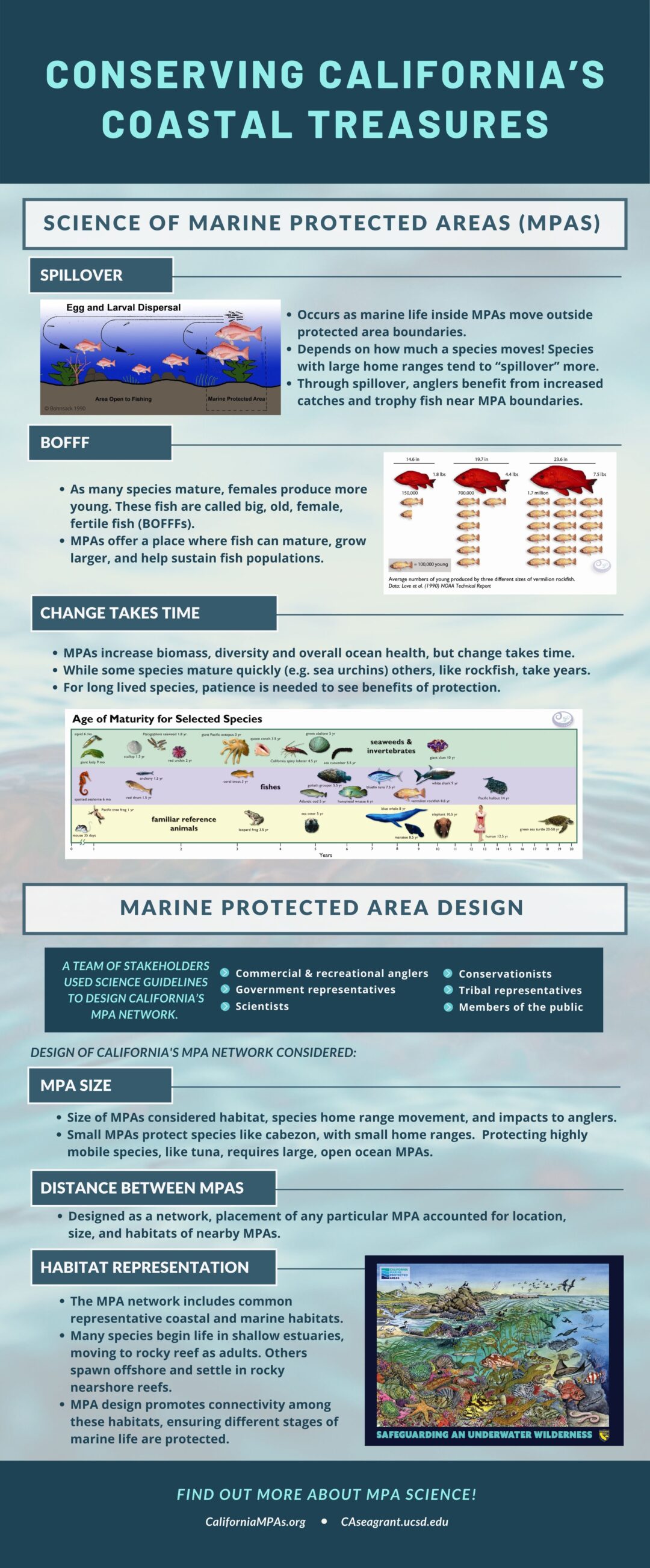 The California Marine Sanctuary Foundation has MPA exhibits, videos for ...