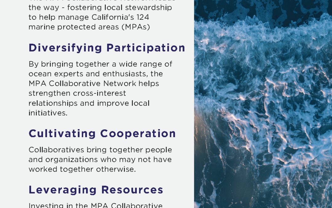 MPA Collaborative Network Documents - MPA Collaborative Network
