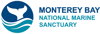 Explore Monterey Bay and Beyond: Landing Page – Final - MPA Collaborative Network