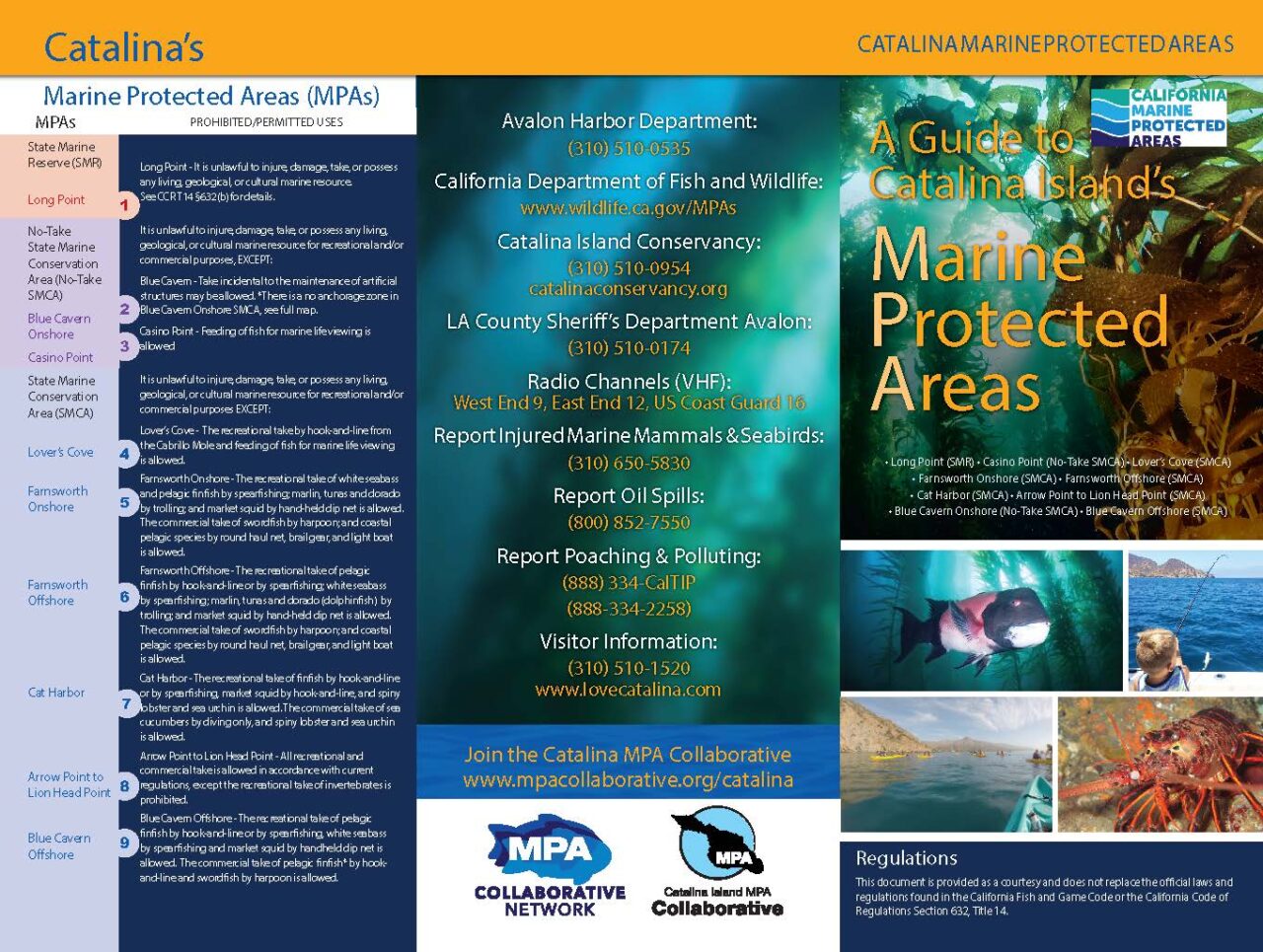 Catalina Island’s MPAs Brochure - MPA Collaborative Network