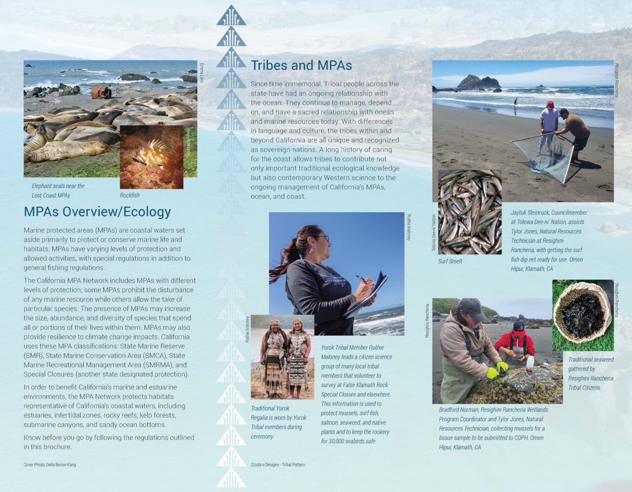 Explore the MPAs of Del Norte and Humboldt Counties Brochure - MPA Collaborative Network