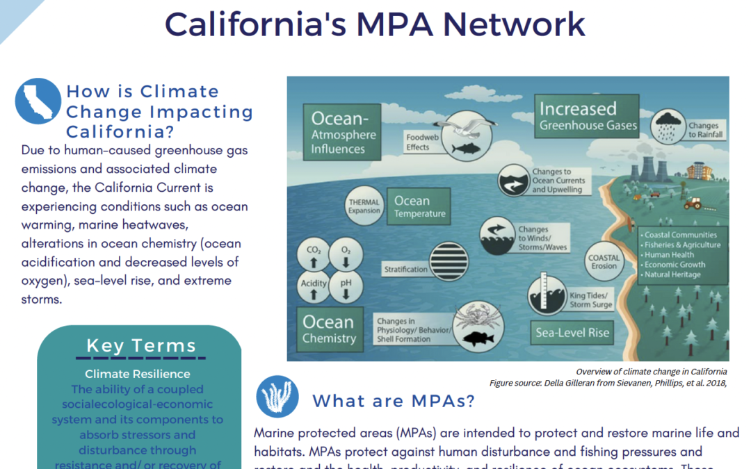 MPA Collaborative Network Documents - MPA Collaborative Network