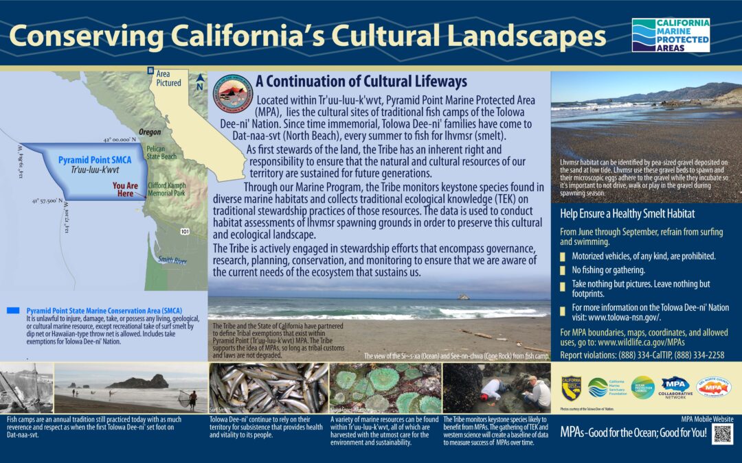 Collaboratives - MPA Collaborative Network