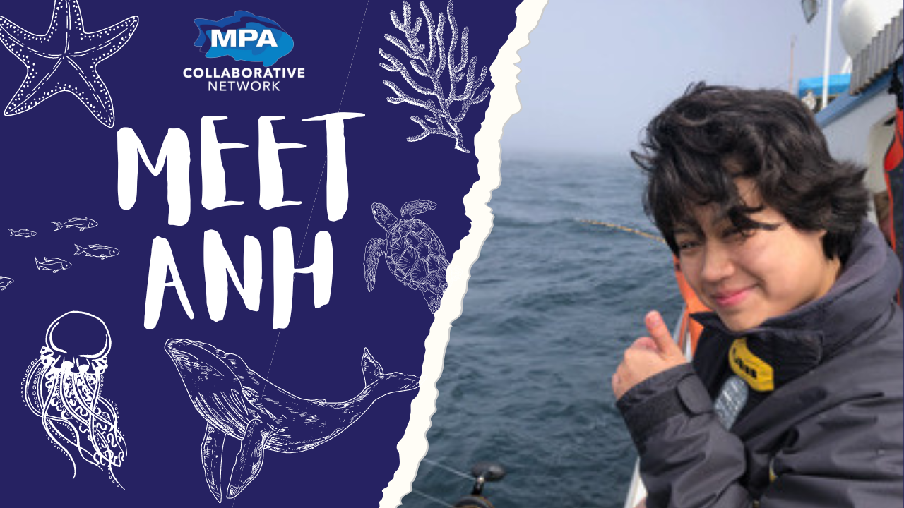 Celebrating AAPI Heritage Month with Anh Diep