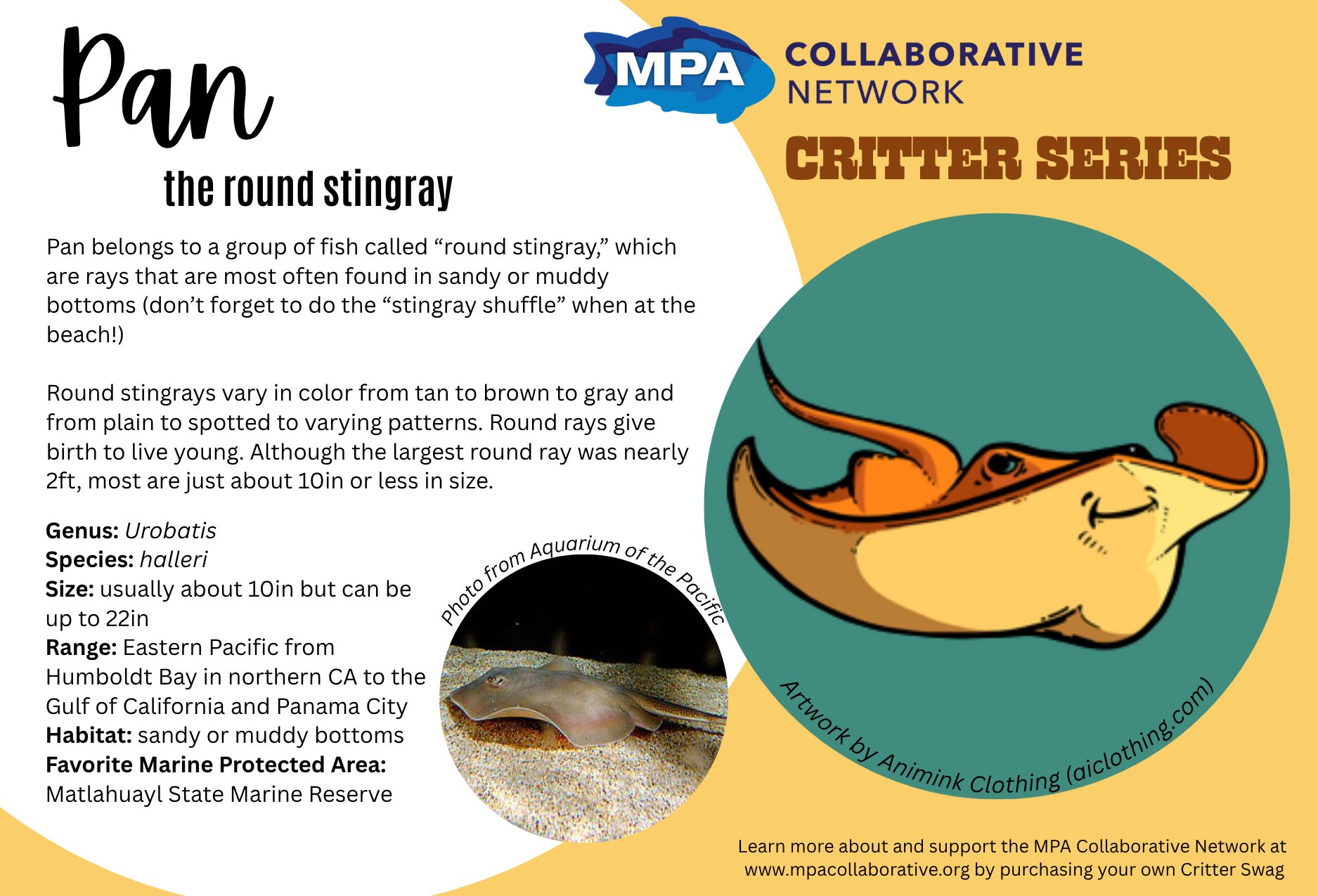 MPA Collaborative Critters
