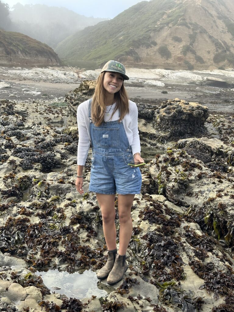 MPA Collaborative Network